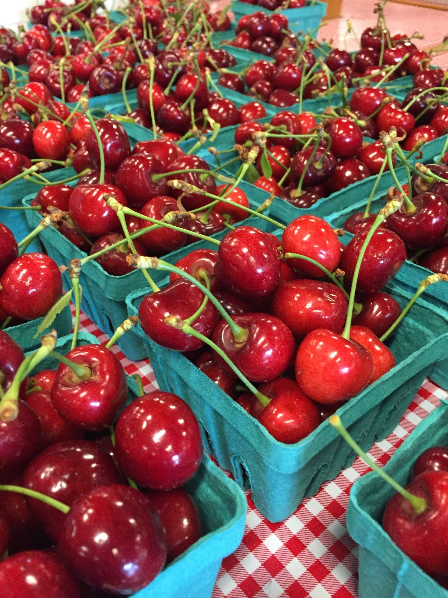 Why Cherry Season at Parlee Farms Is So Special - Parlee Farms
