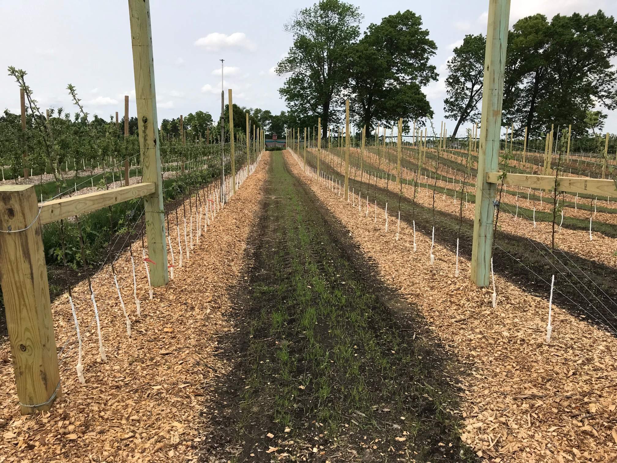 Happy Spring – it’s Planting Time!