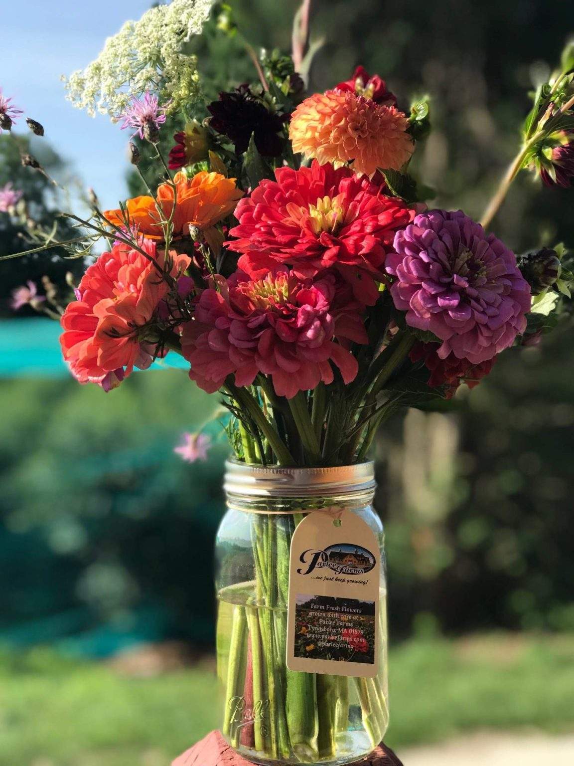 Lowell MA Area Farm Stand Fresh Fruits and Vegetables – Parlee Farms