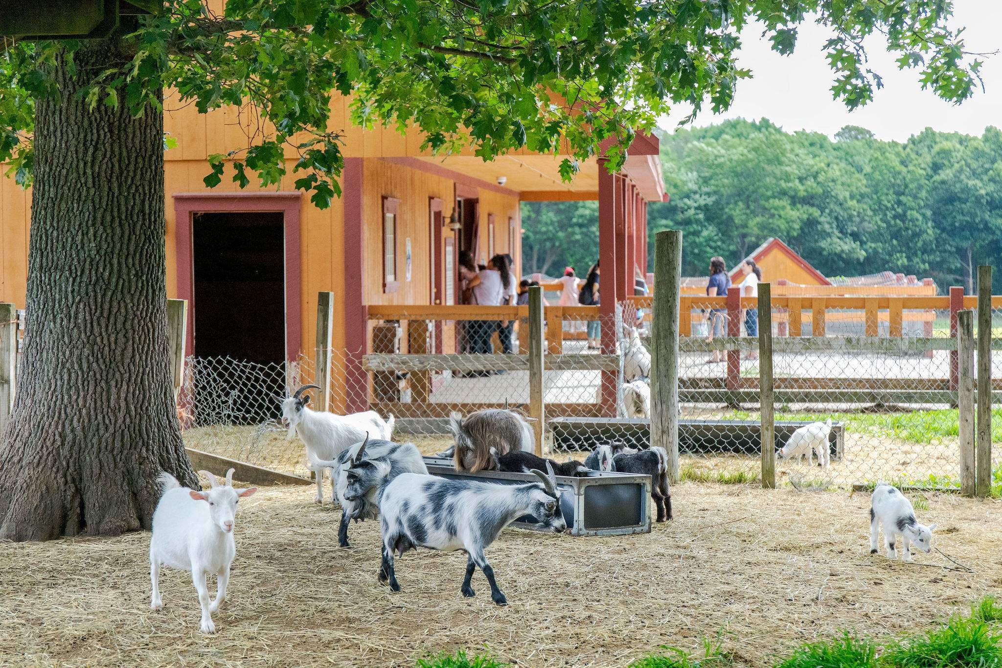 Parlee Farms Current Picking Conditions updated daily